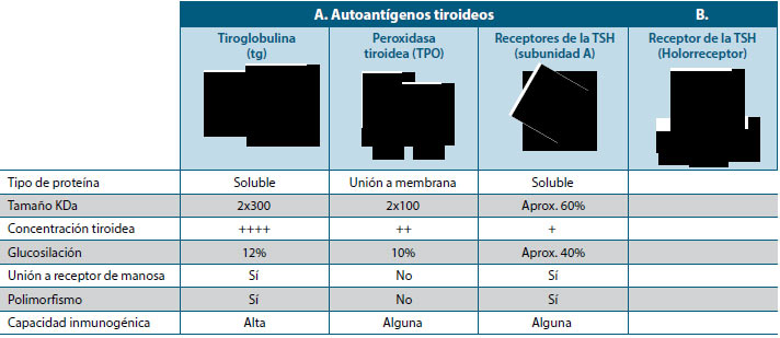 Untitled Document [revistaendocrino.org]